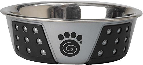 PetRageous 13097 Fiji Stainless Steel Non-Slip Dishwasher Safe Dog Bowl 1.75-Cup Capacity 5.5-inch Diameter 1.75-inch Tall for Small and Medium Size Dogs and Cats, Light Grey and Black