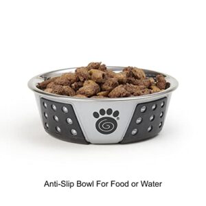 PetRageous 13097 Fiji Stainless Steel Non-Slip Dishwasher Safe Dog Bowl 1.75-Cup Capacity 5.5-inch Diameter 1.75-inch Tall for Small and Medium Size Dogs and Cats, Light Grey and Black