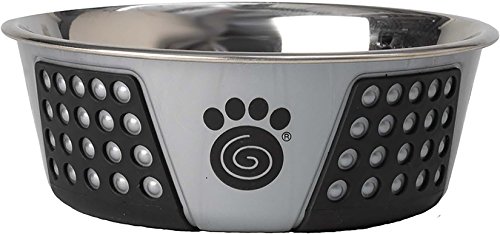 PetRageous 13098 Fiji Stainless Steel Non-Slip Dishwasher Safe Dog Bowl 3.75-Cup Capacity 6.75-inch Diameter 2.5-inch Tall for Medium and Large Dogs, Light Grey and Black