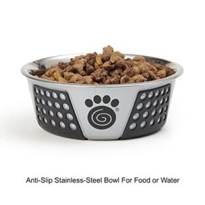 PetRageous 13098 Fiji Stainless Steel Non-Slip Dishwasher Safe Dog Bowl 3.75-Cup Capacity 6.75-inch Diameter 2.5-inch Tall for Medium and Large Dogs, Light Grey and Black