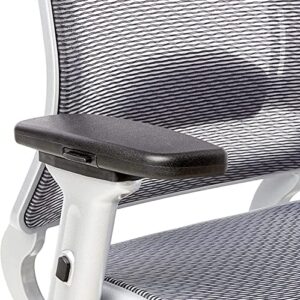 Space Seating 317 Series Executive Light Air Grid Office Chair with Breathable Mesh Back, Lumbar Support, 2-to-1 Synchro Tilt Control and Adjustable Tension, Platinum Finish