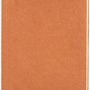 LEUCHTTURM1917 Metallic Special Edition - Medium A5 Dotted Hardcover Notebook (Copper) - 251 Numbered Pages