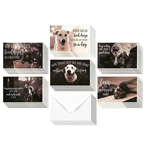 36 Pack Blank Motivational Greeting Cards with Dogs and Inspirational Quotes, Envelopes (4x6 In)