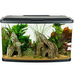 Fluval Vista Freshwater Aquarium Kit, 23 Gallon