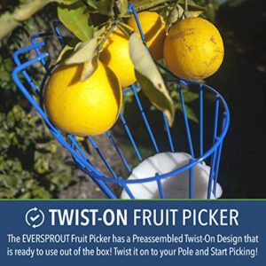 EVERSPROUT 12-Foot Fruit Picker (20+ Foot Reach) | Telescoping Fruit Picker Pole, Easy to Attach Twist-On Apple Basket | Lightweight, High-Grade Aluminum Extension Pole with Fruit Picker Basket