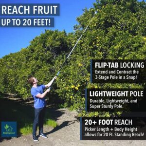 EVERSPROUT 12-Foot Fruit Picker (20+ Foot Reach) | Telescoping Fruit Picker Pole, Easy to Attach Twist-On Apple Basket | Lightweight, High-Grade Aluminum Extension Pole with Fruit Picker Basket