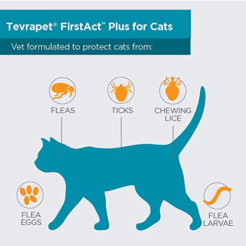 TevraPet FirstAct Plus Flea and Tick Topical for Cats over 1.5lbs, 3 Dose Flea and Tick Prevention. Waterproof Flea and Tick Control for 3 Months