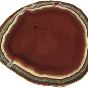 Gift Set of Four Genuine Brazilian (3.5"- 4") Agate Coasters. Includes Protective Rubber Bumpers - Natural