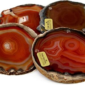 Gift Set of Four Genuine Brazilian (3.5"- 4") Agate Coasters. Includes Protective Rubber Bumpers - Natural