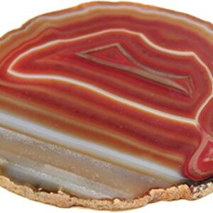 Gift Set of Four Genuine Brazilian (3.5"- 4") Agate Coasters. Includes Protective Rubber Bumpers - Natural