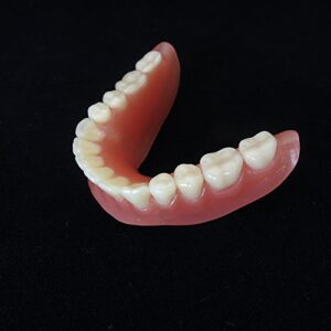 Smile1000 Dental Model Overdenture Inferior 2 Implants Demo for Studing and Teaching