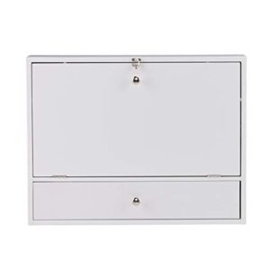 SEI Furniture Willingham Wall Mount Folding Desk, White