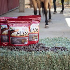 Flix 9 lb, 100% Flaxseed Healthy Treats for Horses, High in Omega-3