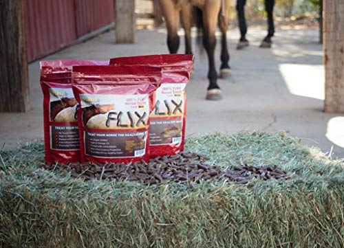 Flix 9 lb, 100% Flaxseed Healthy Treats for Horses, High in Omega-3