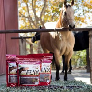 Flix 9 lb, 100% Flaxseed Healthy Treats for Horses, High in Omega-3