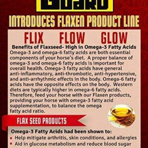 Flix 9 lb, 100% Flaxseed Healthy Treats for Horses, High in Omega-3