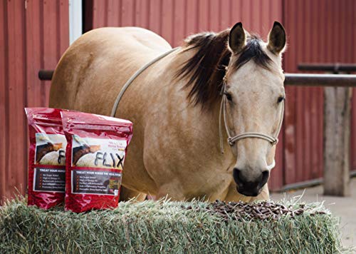 Flix 9 lb, 100% Flaxseed Healthy Treats for Horses, High in Omega-3