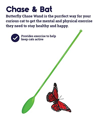 Petstages Butterfly Chase Cat Teaser Wand