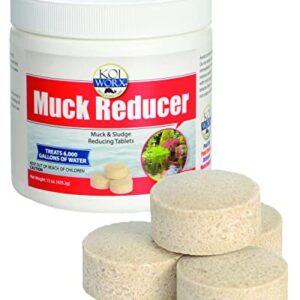 KoiWorx Muck Reducer, 145 Tablets Treats up to 6,000 Gallons of Water, Beneficial Bacteria Reduces Muck, Sludge and Organic Build up, Formulated for Ponds, Water Features and Safe for Koi