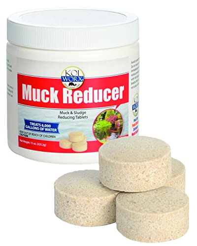 KoiWorx Muck Reducer, 145 Tablets Treats up to 6,000 Gallons of Water, Beneficial Bacteria Reduces Muck, Sludge and Organic Build up, Formulated for Ponds, Water Features and Safe for Koi