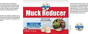 KoiWorx Muck Reducer, 145 Tablets Treats up to 6,000 Gallons of Water, Beneficial Bacteria Reduces Muck, Sludge and Organic Build up, Formulated for Ponds, Water Features and Safe for Koi