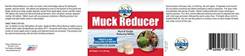 KoiWorx Muck Reducer, 145 Tablets Treats up to 6,000 Gallons of Water, Beneficial Bacteria Reduces Muck, Sludge and Organic Build up, Formulated for Ponds, Water Features and Safe for Koi