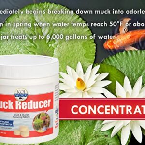 KoiWorx Muck Reducer, 145 Tablets Treats up to 6,000 Gallons of Water, Beneficial Bacteria Reduces Muck, Sludge and Organic Build up, Formulated for Ponds, Water Features and Safe for Koi