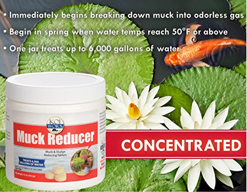 KoiWorx Muck Reducer, 145 Tablets Treats up to 6,000 Gallons of Water, Beneficial Bacteria Reduces Muck, Sludge and Organic Build up, Formulated for Ponds, Water Features and Safe for Koi