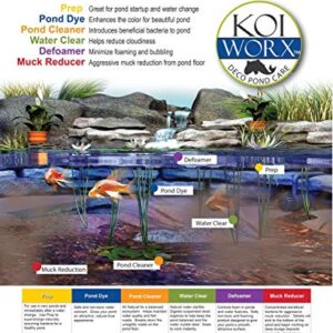 KoiWorx Muck Reducer, 145 Tablets Treats up to 6,000 Gallons of Water, Beneficial Bacteria Reduces Muck, Sludge and Organic Build up, Formulated for Ponds, Water Features and Safe for Koi