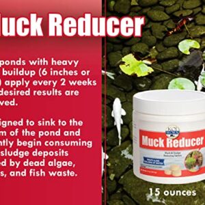 KoiWorx Muck Reducer, 145 Tablets Treats up to 6,000 Gallons of Water, Beneficial Bacteria Reduces Muck, Sludge and Organic Build up, Formulated for Ponds, Water Features and Safe for Koi