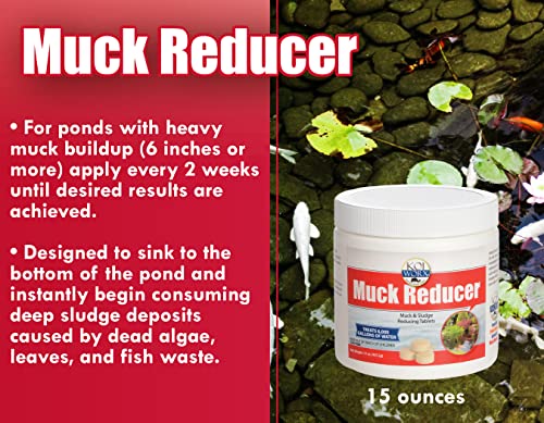 KoiWorx Muck Reducer, 145 Tablets Treats up to 6,000 Gallons of Water, Beneficial Bacteria Reduces Muck, Sludge and Organic Build up, Formulated for Ponds, Water Features and Safe for Koi