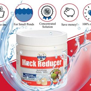 KoiWorx Muck Reducer, 145 Tablets Treats up to 6,000 Gallons of Water, Beneficial Bacteria Reduces Muck, Sludge and Organic Build up, Formulated for Ponds, Water Features and Safe for Koi