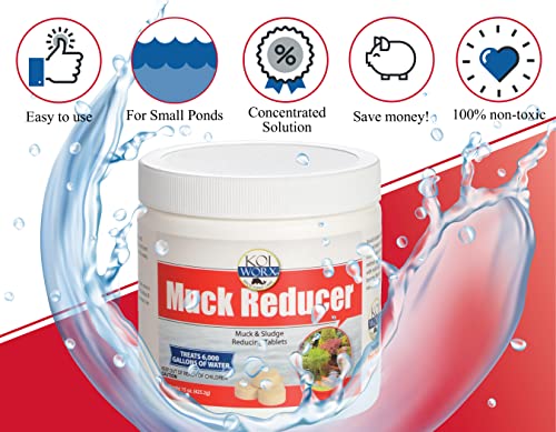 KoiWorx Muck Reducer, 145 Tablets Treats up to 6,000 Gallons of Water, Beneficial Bacteria Reduces Muck, Sludge and Organic Build up, Formulated for Ponds, Water Features and Safe for Koi