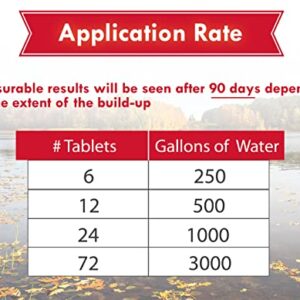 KoiWorx Muck Reducer, 145 Tablets Treats up to 6,000 Gallons of Water, Beneficial Bacteria Reduces Muck, Sludge and Organic Build up, Formulated for Ponds, Water Features and Safe for Koi