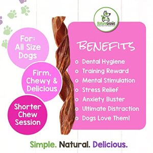 Nature Gnaws Beef Jerky Springs for Dogs - Premium Natural Beef Gullet Sticks - Simple Single Ingredient Tasty Dog Chew Treats - Rawhide Free - 7-8 Inch