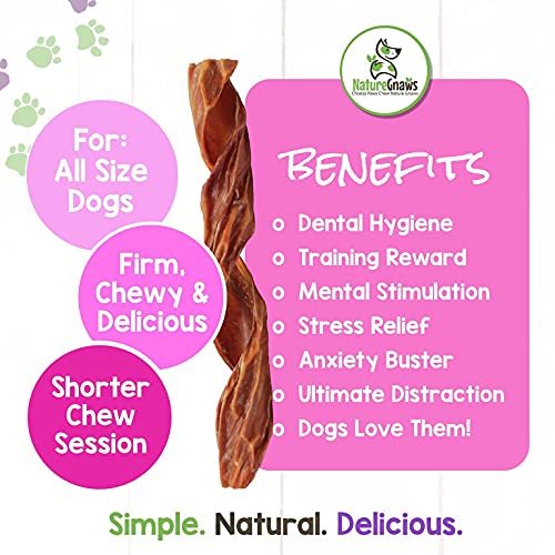 Nature Gnaws Beef Jerky Springs for Dogs - Premium Natural Beef Gullet Sticks - Simple Single Ingredient Tasty Dog Chew Treats - Rawhide Free - 7-8 Inch