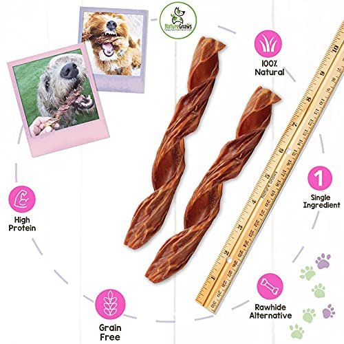 Nature Gnaws Beef Jerky Springs for Dogs - Premium Natural Beef Gullet Sticks - Simple Single Ingredient Tasty Dog Chew Treats - Rawhide Free - 7-8 Inch