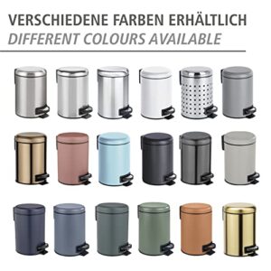 WENKO Basket, Small Trash Can with Lid and Pedal, Garbage Bin for Bathroom with Removable Inner Bucket, Stainless Steel, 0.79 Gal, 9.84 x 8.86 x 6.69 in, 17 x 22.5 x 25 cm, Gray Shiny