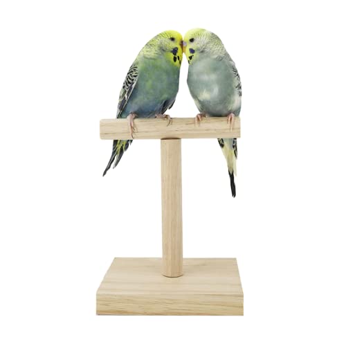 Small Parrot Bird Pet Perch Stand Parakeet Wood Standing Gym Training Grinding Toy Playstand Holder (S)