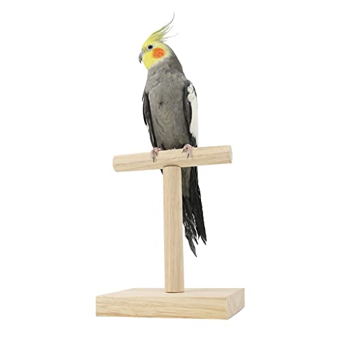 Small Parrot Bird Pet Perch Stand Parakeet Wood Standing Gym Training Grinding Toy Playstand Holder (S)