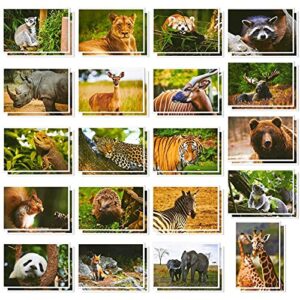 wild animal kids postcards, 20 designs (4x6 in, 40 pack)