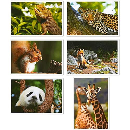 Wild Animal Kids Postcards, 20 Designs (4x6 In, 40 Pack)