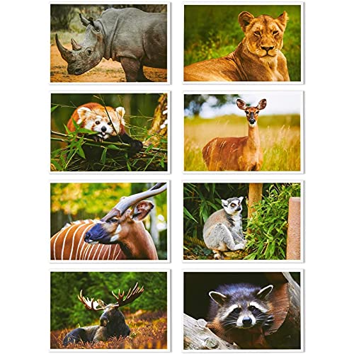 Wild Animal Kids Postcards, 20 Designs (4x6 In, 40 Pack)