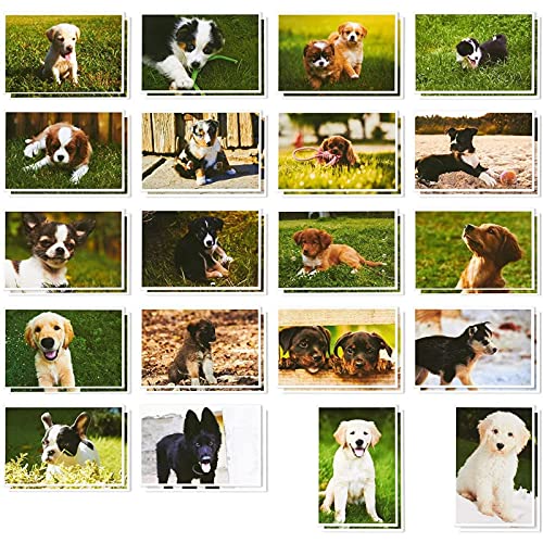 40 Pack Puppy Dog Postcards Bulk Set - All Occasion Assorted Blank Post Cards Greeting Bulk Box Set - 4 x 6 Inches