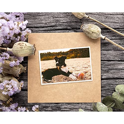 40 Pack Puppy Dog Postcards Bulk Set - All Occasion Assorted Blank Post Cards Greeting Bulk Box Set - 4 x 6 Inches