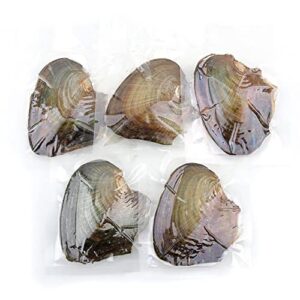 10 PC Freshwater Cultured Pearl Oyster Oval Pearls with White/Pink/Purple/Black, Birthday Gifts(7.5-8mm)