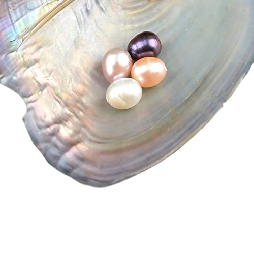 10 PC Freshwater Cultured Pearl Oyster Oval Pearls with White/Pink/Purple/Black, Birthday Gifts(7.5-8mm)