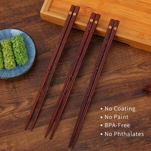 HuaLan Japanese Natural Wood Chopstick Set Reusable Classic Style Chopsticks Non-slip Design Chop Sticks 5 Pairs Gift Set