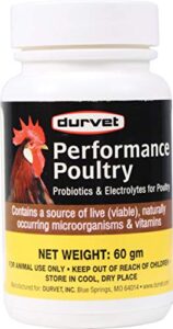 durvet healthy flock poultry probiotics