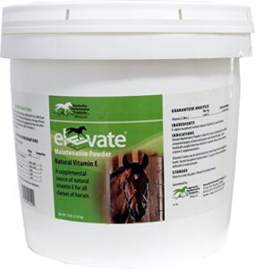 kentucky performance products elevate maintenance powder, 10 pounds, vitamin e horse supplement